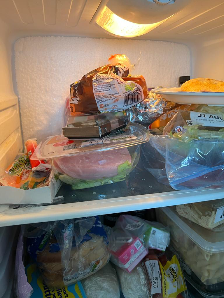 12 Essential Tips for Fridge Freezer Care: Do’s and Don’ts - ADK Kooling